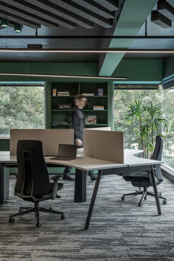 Inside the Intriguing World of Office Snapshots - Lisa Magazine